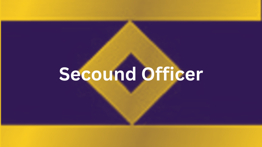 What is a Merchant Navy Second Officer/Second Mate? | Shoreside ...